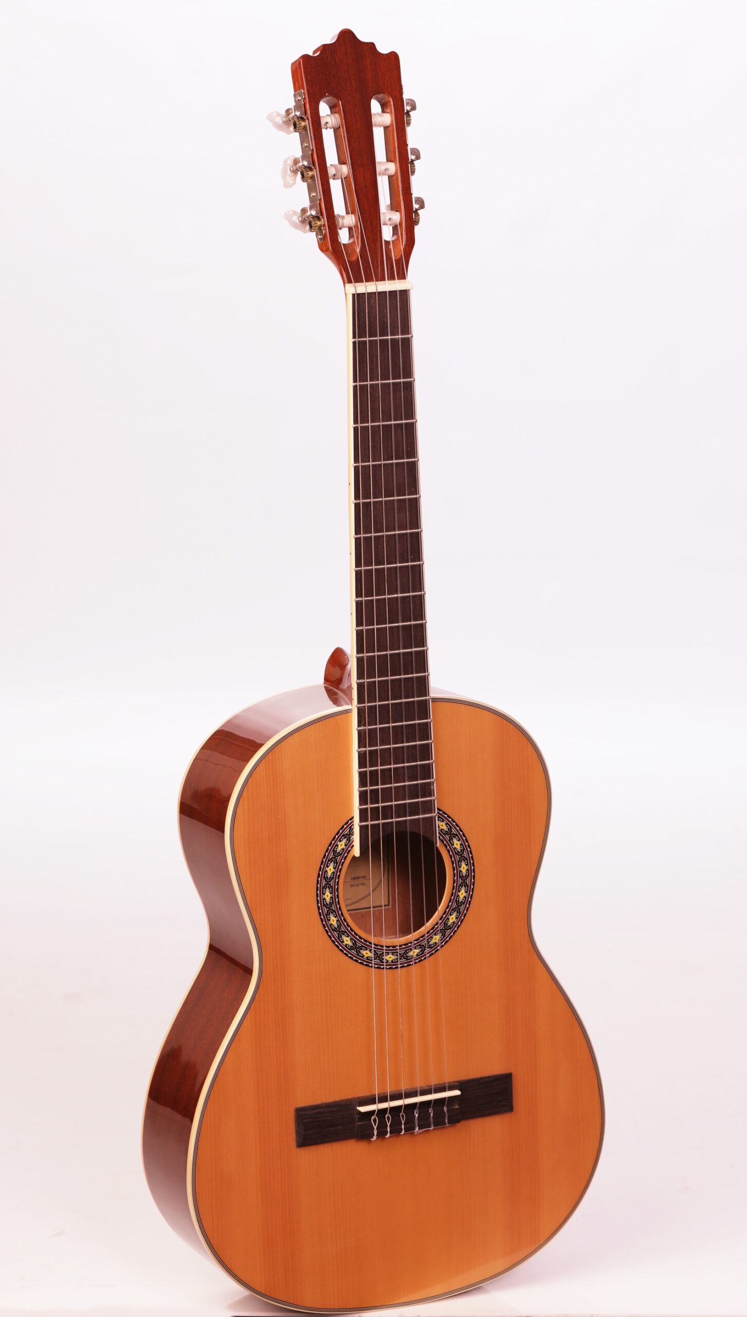Beginner Acoustic Guitars-Austin 312 & 334 - a great first guitar.
